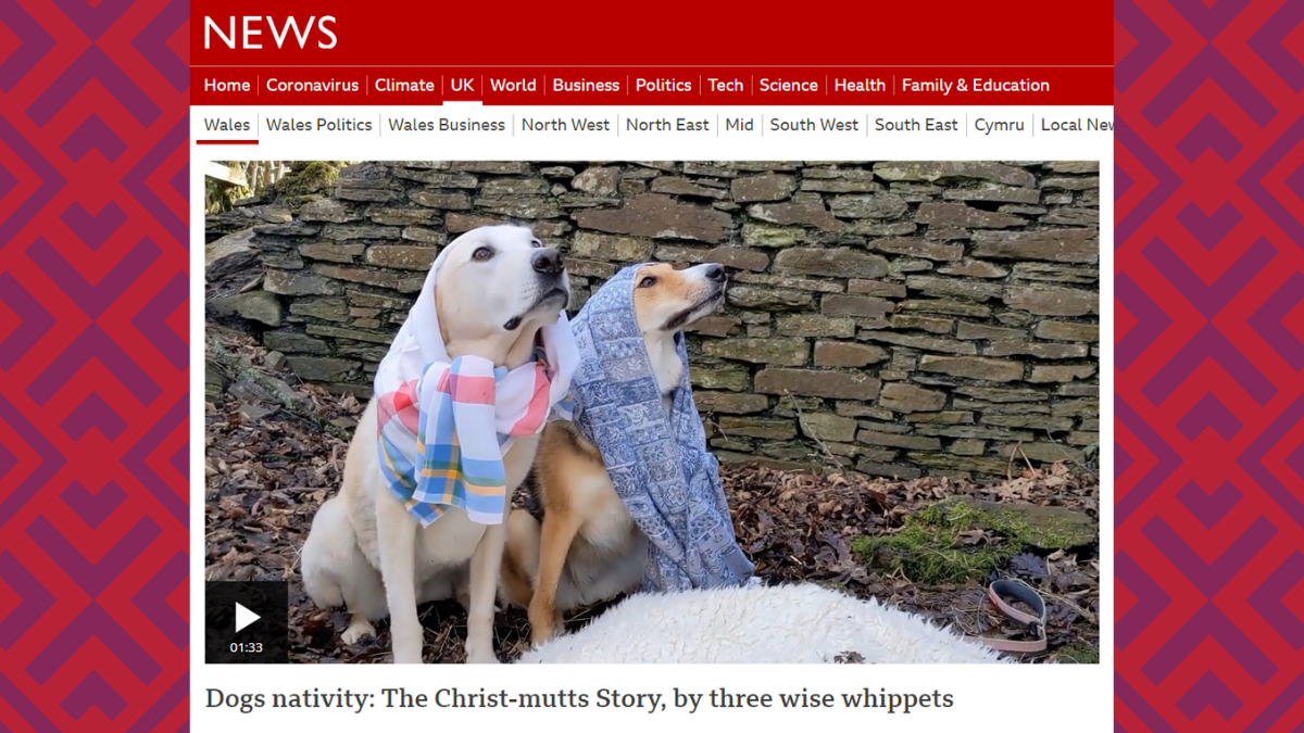 Unitarian Dog Nativity goes viral - The Unitarians